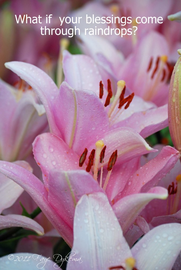 God’s Grace | God's Abundant Blessings!