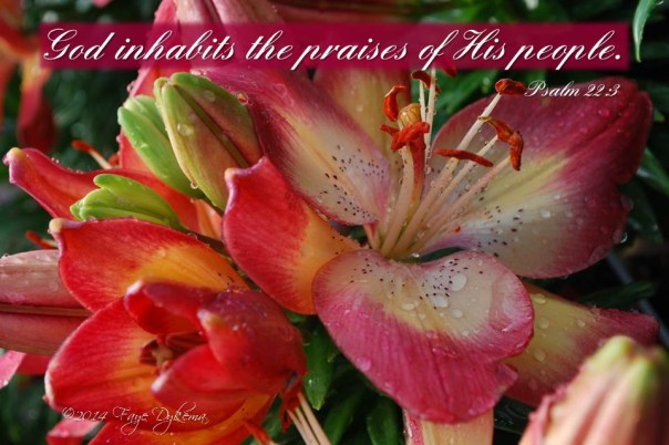 Praising God | God's Abundant Blessings!