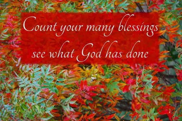 Praising God | God's Abundant Blessings!