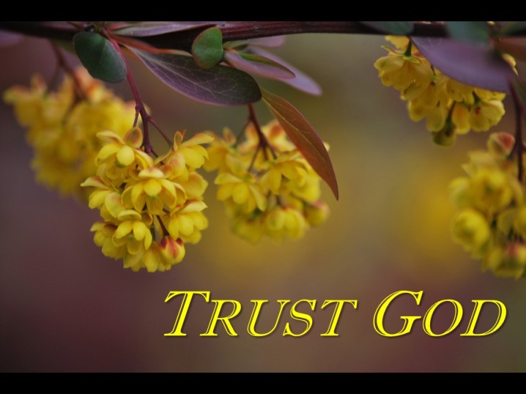 Trust | God's Abundant Blessings!